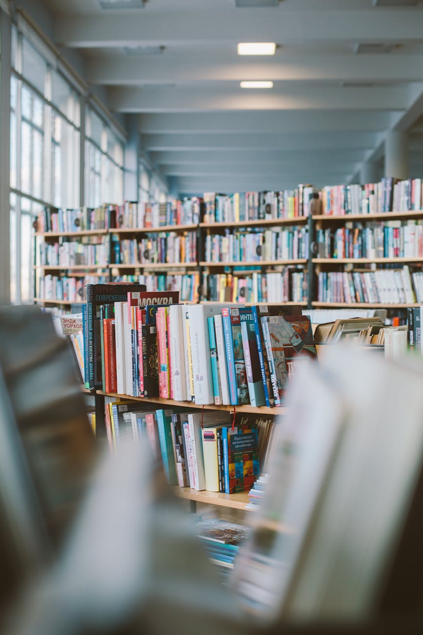 Radical Reading: How Libraries Fuel Revolution – The Time Traveller's Guild